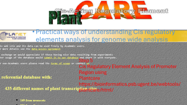 Cis Regulatory Element Analysis of Geens Promoter Regions Cis Regulatory Element Analysis of Geens Promoter Regions