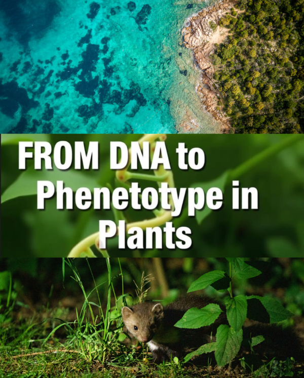 Exploring the Frontier of Plant Science: Molecular Horticulture