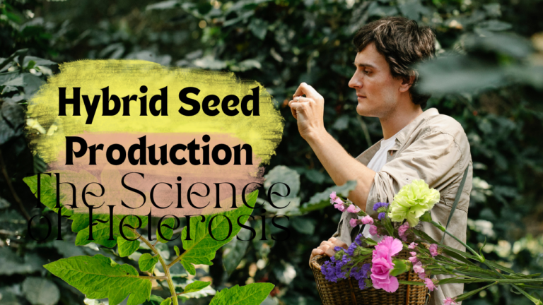 Understanding Hybrid Seed Production: Techniques, Benefits, and Challenges