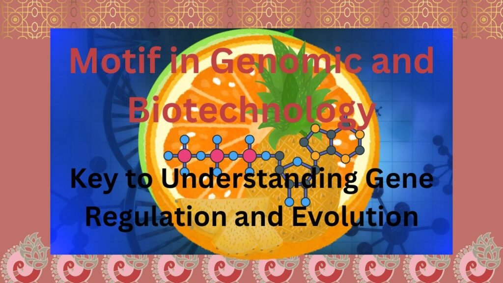 Unraveling Motifs in Genomics: Key to Understanding Gene Regulation and Evolution