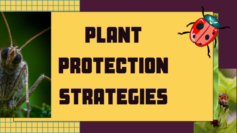 What is Plant Protection
